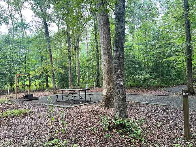 Your own private picnic spot awaits, complete with table service courtesy of Mother Nature herself.