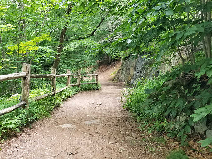 This gentle path practically rolls out the welcome mat, making waterfall chasing accessible for everyone who can walk.