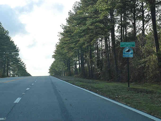 That highway sign marks your entrance to Florida's most budget-friendly secret, hidden among the pines.
