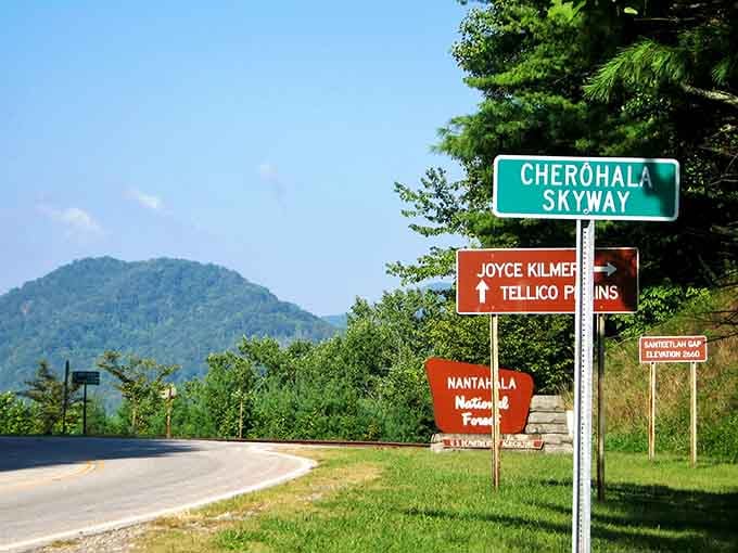 These directional signs point toward adventure, proving that getting lost in the mountains is actually finding yourself.