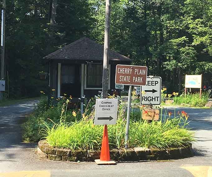 That orange traffic cone is doing more work than most of us on Monday mornings.