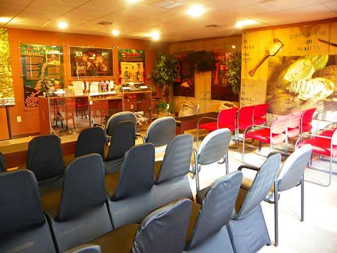 This cozy presentation room transforms chocolate novices into cacao connoisseurs faster than you can say "bean to bar."
