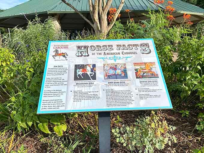 Educational signage proving that even carousels have fascinating backstories worth reading before you ride.