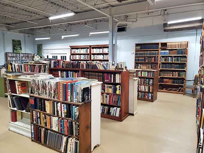 Rows of books waiting patiently for readers who appreciate pages that actually turn, not scroll.