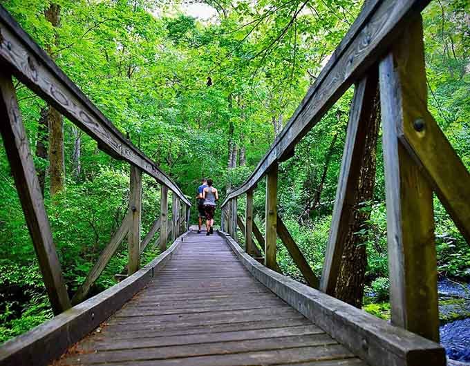 This wooden bridge invites you deeper into the forest where cell service dies but adventure begins.