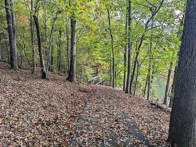 Autumn leaves carpet the island's trails, creating nature's own red carpet for your woodland adventure.