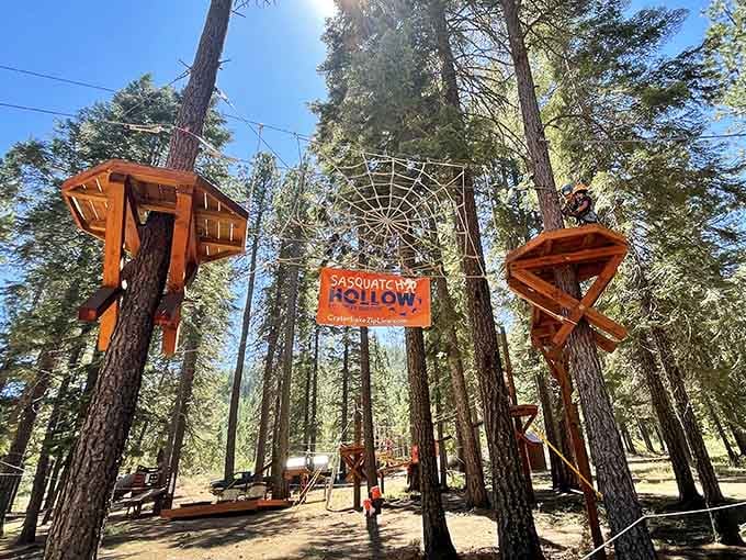 Sasquatch Hollow's aerial playground proves that adults deserve recess too, complete with suspended bridges and pure adventure.