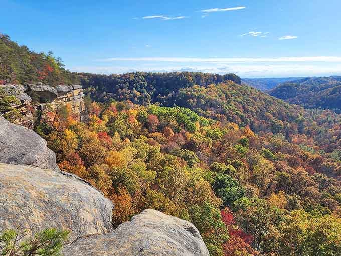 Mother Nature's autumn palette on full display, painting the ridges in colors that would make any artist weep with joy.