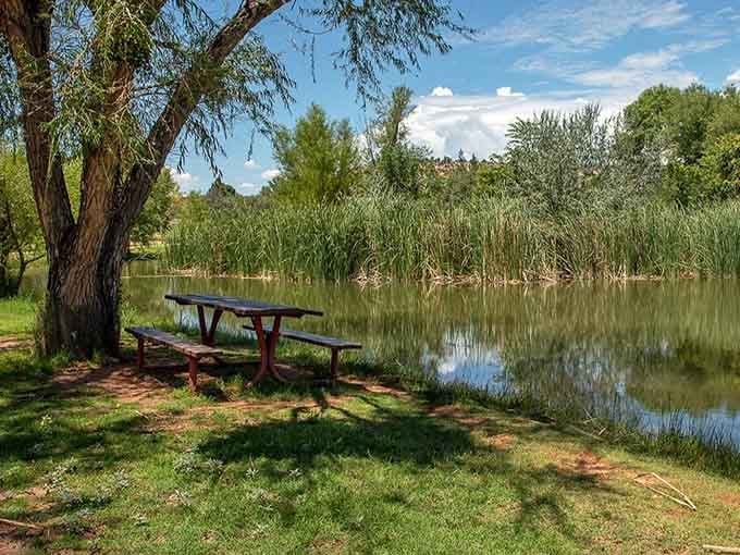 That picnic table by the lagoon is calling your name, promising lunch with a view that'll make your sandwich taste gourmet.