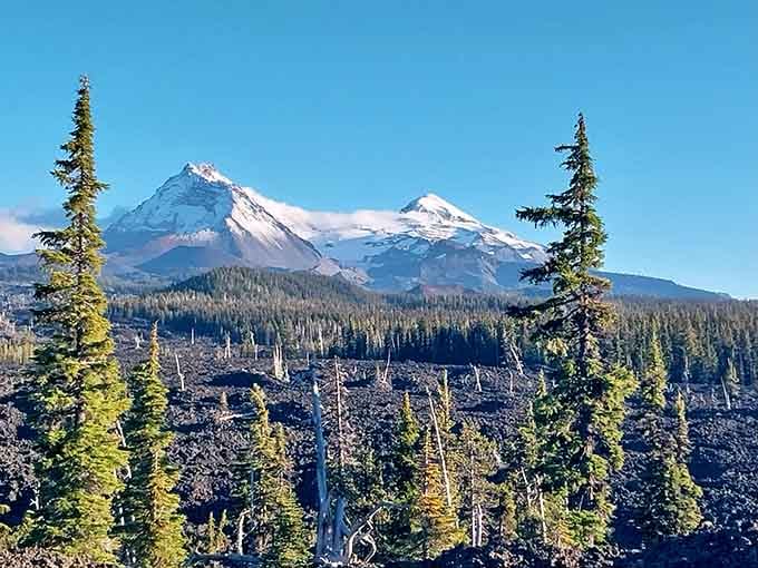 Snow-capped peaks frame this otherworldly landscape where trees dare to grow among the volcanic aftermath.