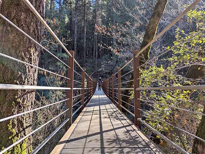 The cables and beams create geometric poetry against the forest canvas, engineering meeting nature in perfect harmony.