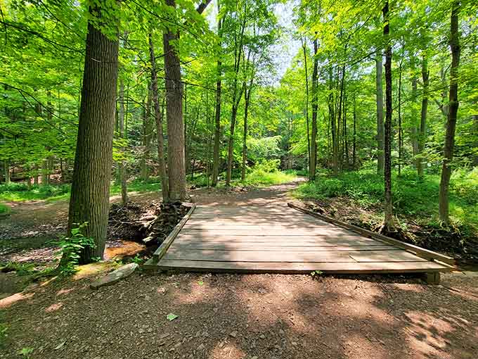 Every great ghost town adventure starts with a bridge, because apparently that's how you cross into spooky territory.