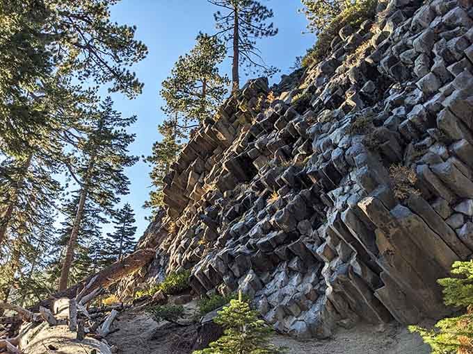When ancient lava decided to crack into perfect geometric patterns, it created California's most underrated geological masterpiece worth discovering.