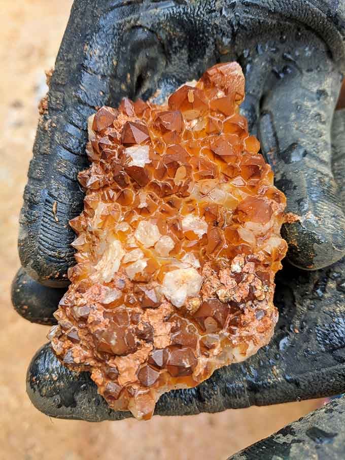 This amber crystal cluster looks like frozen honey, nature's patient artwork spanning millions of years underground.