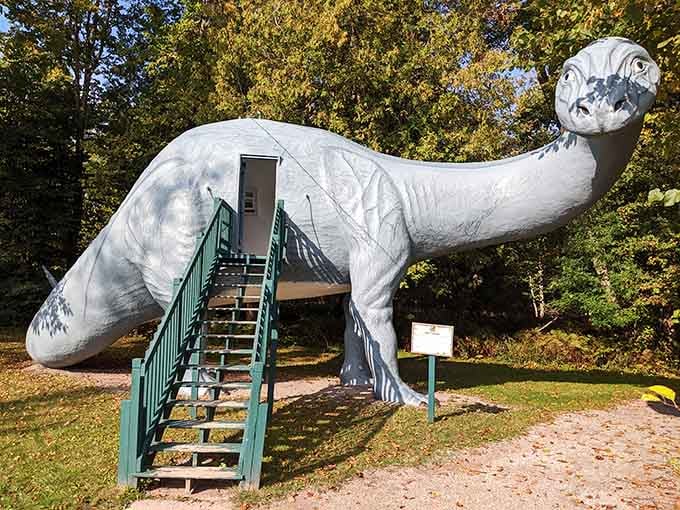 That's right, you can actually climb inside this gentle giant and see the world from a Brontosaurus perspective.