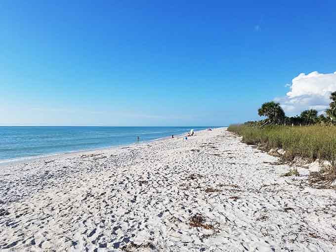 Miles of pristine white sand stretching into the distance—this is what Florida looked like before condos.