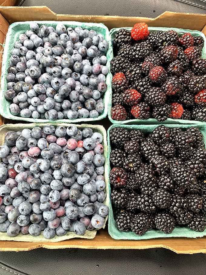 Fresh blueberries and blackberries looking like they just won the lottery of flavor and ripeness combined.