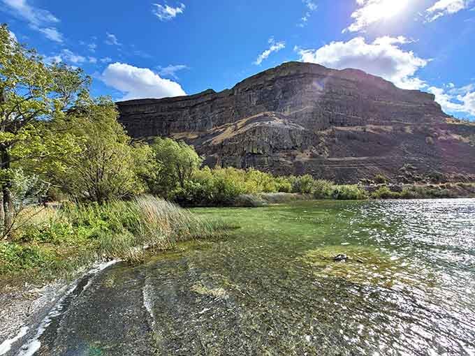 Lush greenery thrives where apocalyptic floods once raged, because nature loves a good comeback story.
