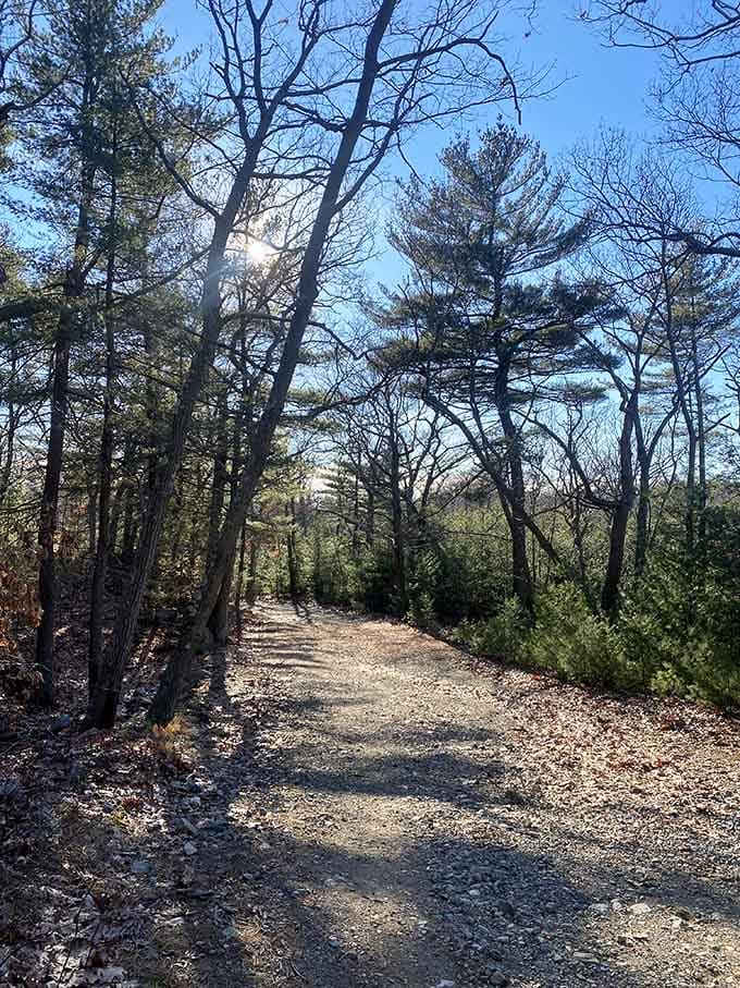 The trail to Dungeon Rock proves that the best adventures start with a simple path through the woods.