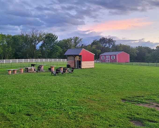 Golden hour at the farm with those classic red barns glowing like a Hallmark movie set.