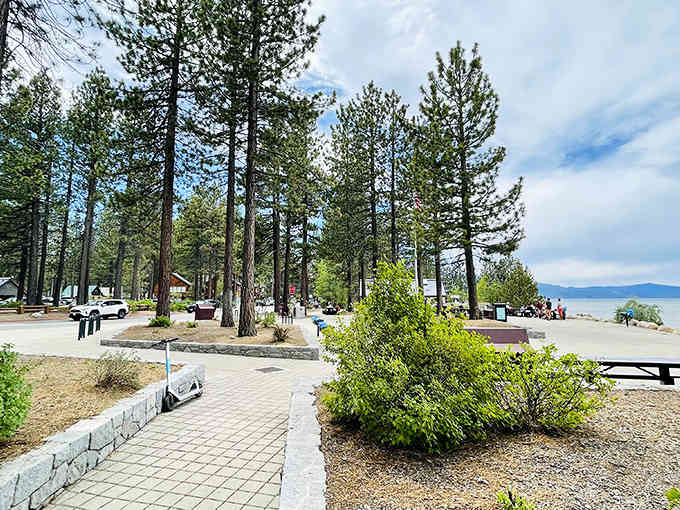 The entrance welcomes you with shade trees and pathways that say someone actually planned this place.