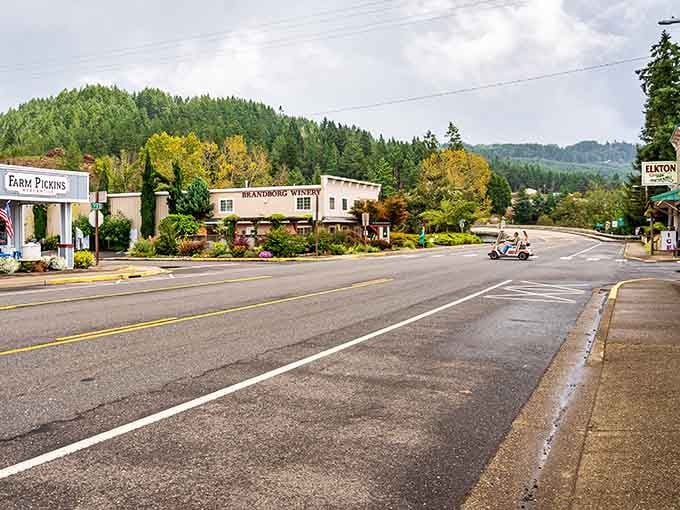Main Street Elkton proves that charm doesn't need a marketing budget, just good bones and better trees.