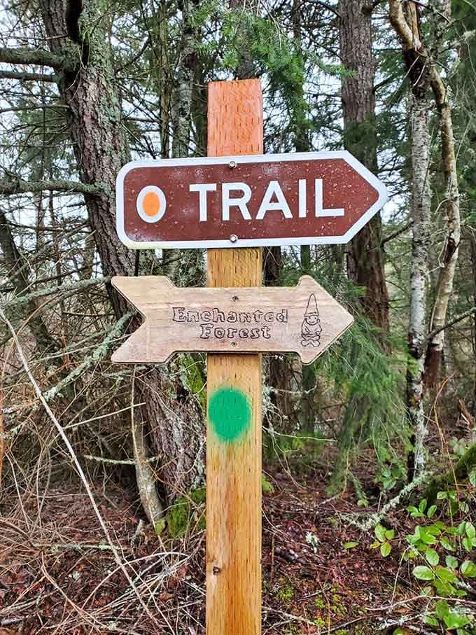 Follow the arrow to enchantment, because regular trail signs are apparently too boring for a forest this whimsical.