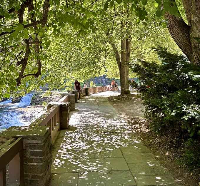 Dappled sunlight filters through the canopy, turning this pathway into something straight out of a storybook.