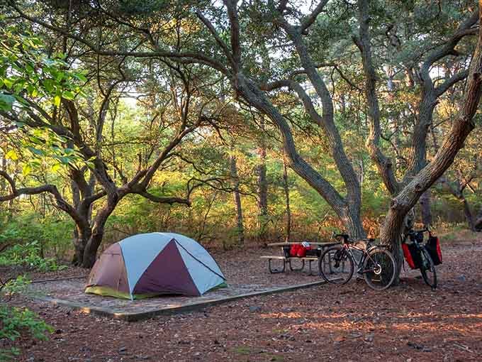 Your tent becomes a five-star resort when twisted oaks provide the ceiling and nature handles entertainment.