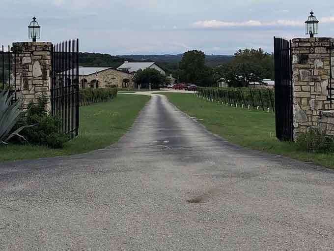 Those stone gates aren't just for show – they're your portal to Hill Country wine paradise.