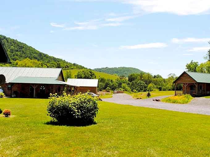 Main Street charm without the tourist traps, where power lines and mountain views share the skyline perfectly.