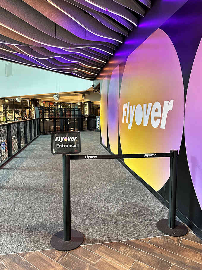 The entrance glows like a portal to another dimension, which is basically what you're about to experience anyway.