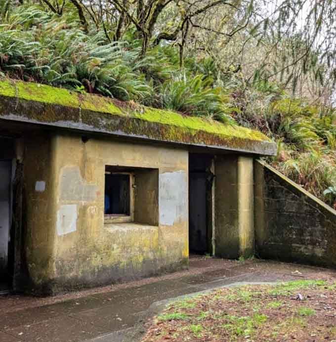 This moss-covered bunker looks like Mother Nature decided to audition for a post-apocalyptic film and absolutely nailed the part.
