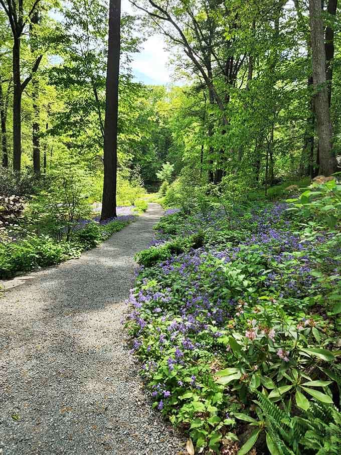 When gravel paths look this inviting, you know someone really understands the art of making nature accessible without ruining it.