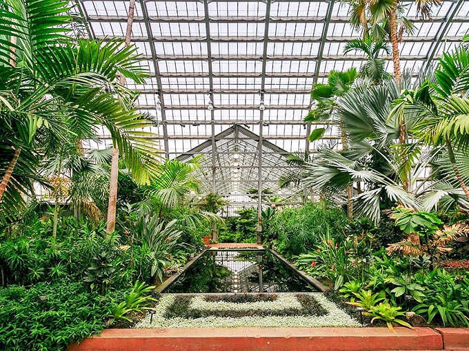 Palm trees reaching for the sky under that magnificent glass ceiling, creating nature's own cathedral of green.