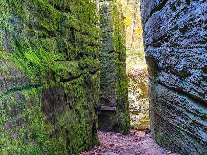 Squeeze through here and you'll understand why early settlers thought giants built this place, not geology.