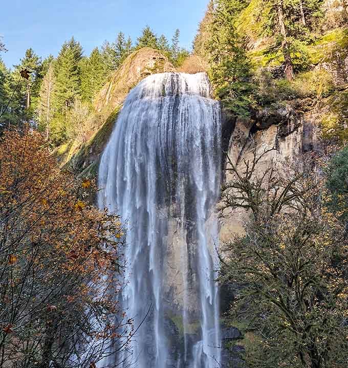 Silver Falls puts on a show that rivals any blockbuster, cascading down moss-covered cliffs in spectacular fashion.