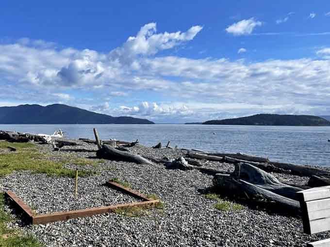 Driftwood sculptures and island views create the kind of natural art gallery that requires zero admission and infinite contemplation.