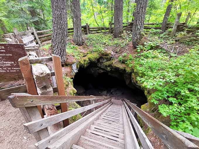 That wooden staircase descending into darkness? Your portal to a frozen world hiding beneath Washington's forests.