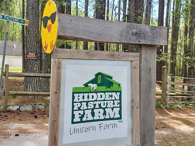 Follow the sign to where childhood dreams become reality, and skepticism takes a well-deserved vacation.