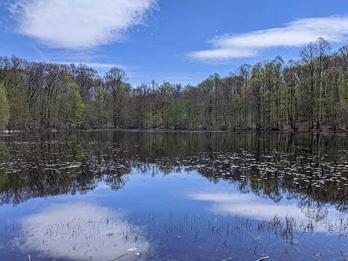 That mirror-perfect reflection makes you wonder if the sky is showing off or the water is.