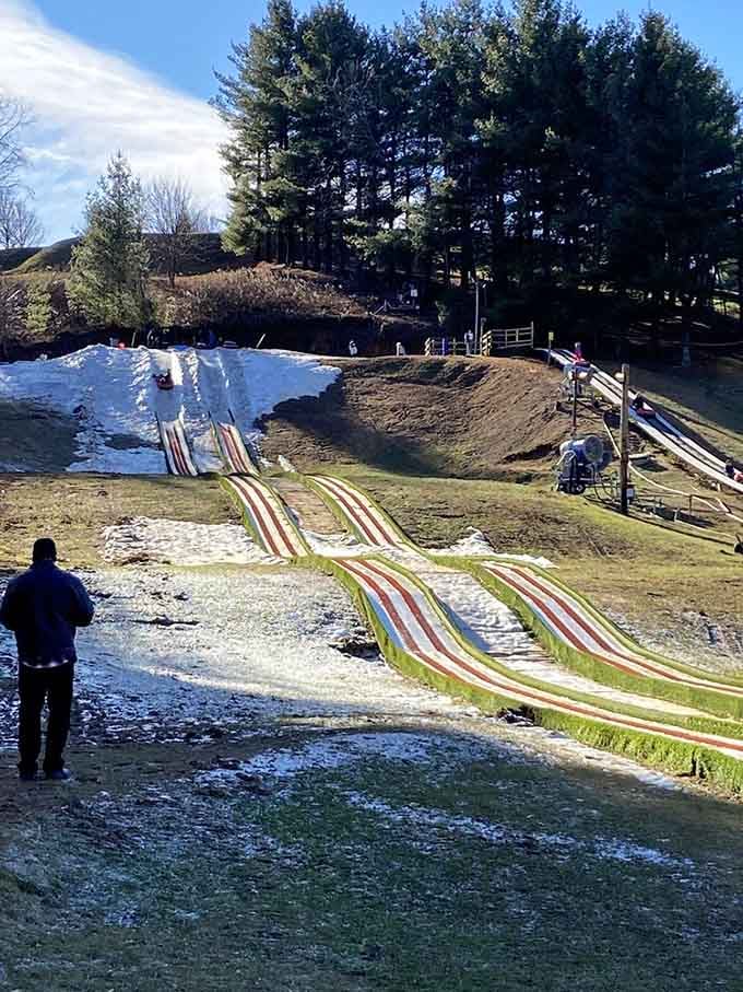 Multiple tubing lanes mean you can finally settle that decades-old debate about who's the fastest slider.