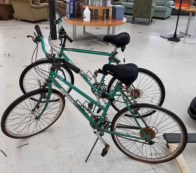 These bikes are ready for their second act, just waiting for someone to pedal them home.