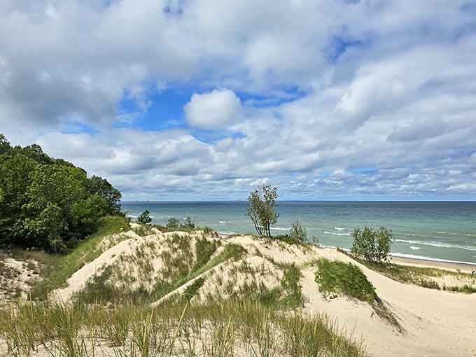 These dunes have been perfecting their dramatic poses for thousands of years, and honestly, they've earned it.