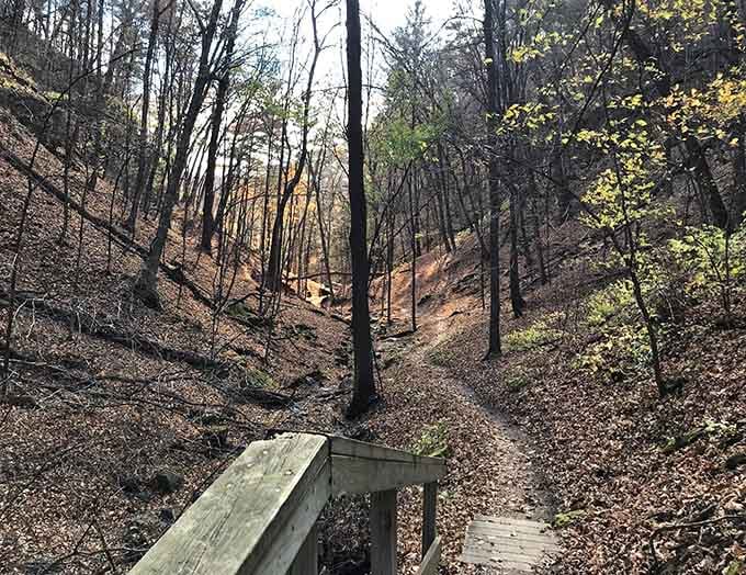 Forest trails wind through terrain that's been here longer than anyone's family tree can trace back.