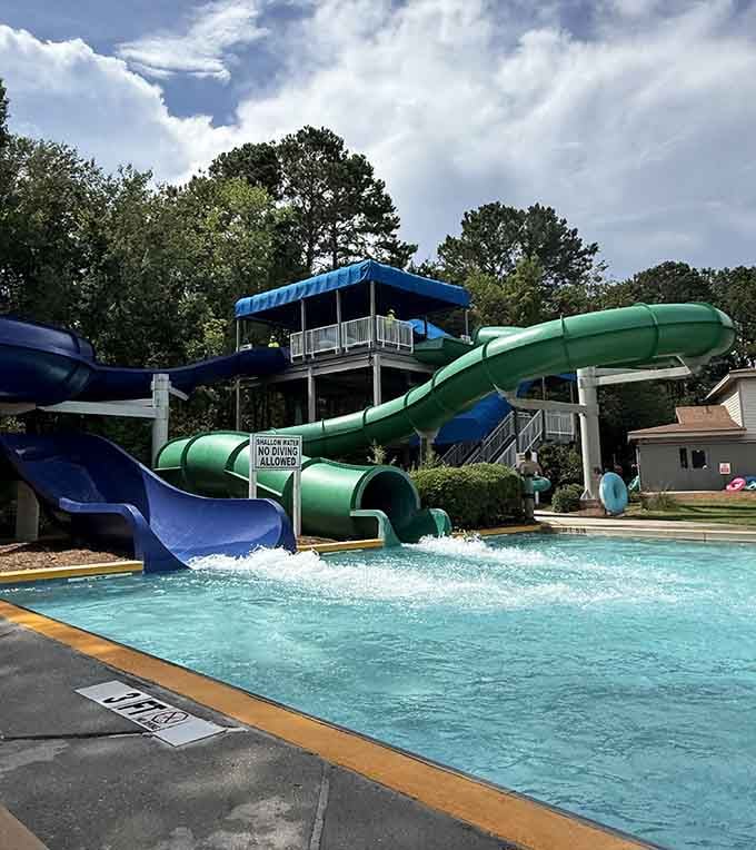 These colorful slides promise the kind of thrills that make you forget you're technically a responsible adult.