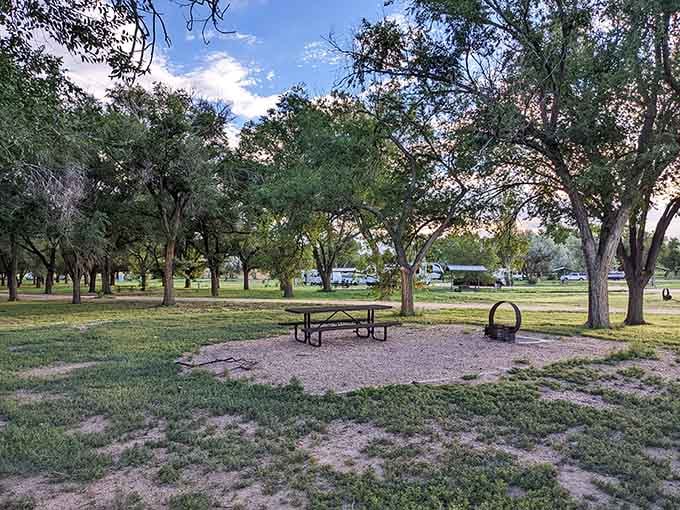 Those cottonwood trees offer shade so precious on the plains, you'll want to hug them like old friends.