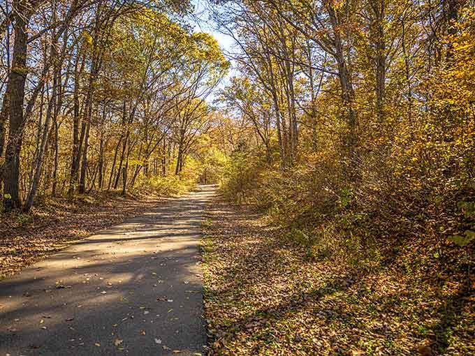 Golden hour on the trail proves that Missouri's autumn display rivals anything you'd find in New England.