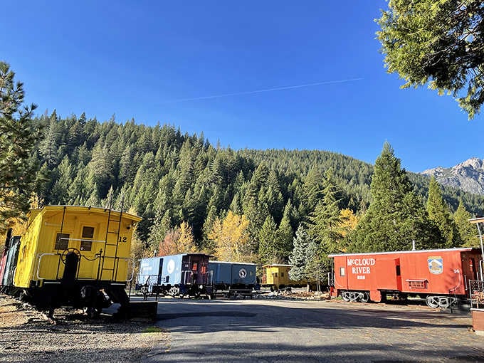 These aren't props; they're actual railroad cars ready to host your most memorable overnight adventure yet.