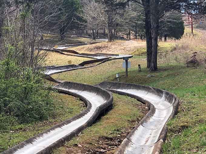 These serpentine slides twist down the hillside like nature's own roller coaster, minus the safety bar anxiety.